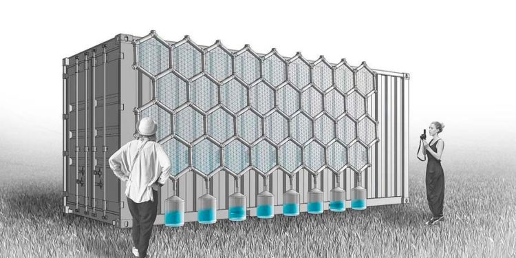 AquaWeb capta agua de la atmósfera con sistema inspirado en insectos
