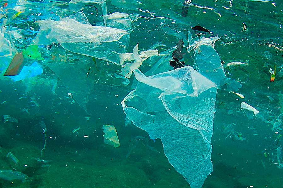 Microplásticos en el agua potable, un gran desafío ambiental